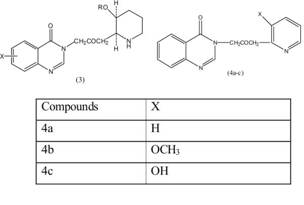 Febrifugine analogues: Promising antimalarial agents