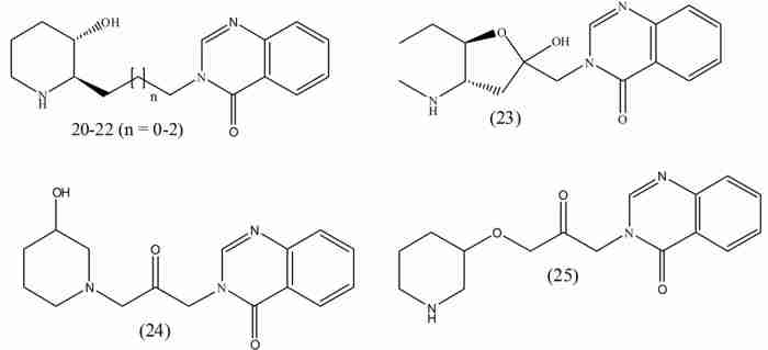 Febrifugine analogues: Promising antimalarial agents